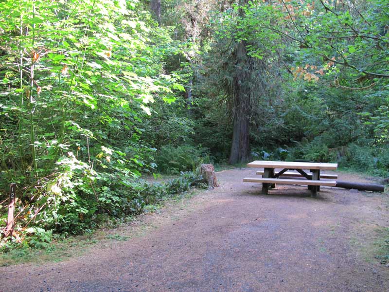 Riverside Campground - Clackamas River, Oregon
