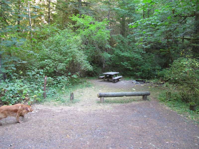 Riverside Campground - Clackamas River, Oregon