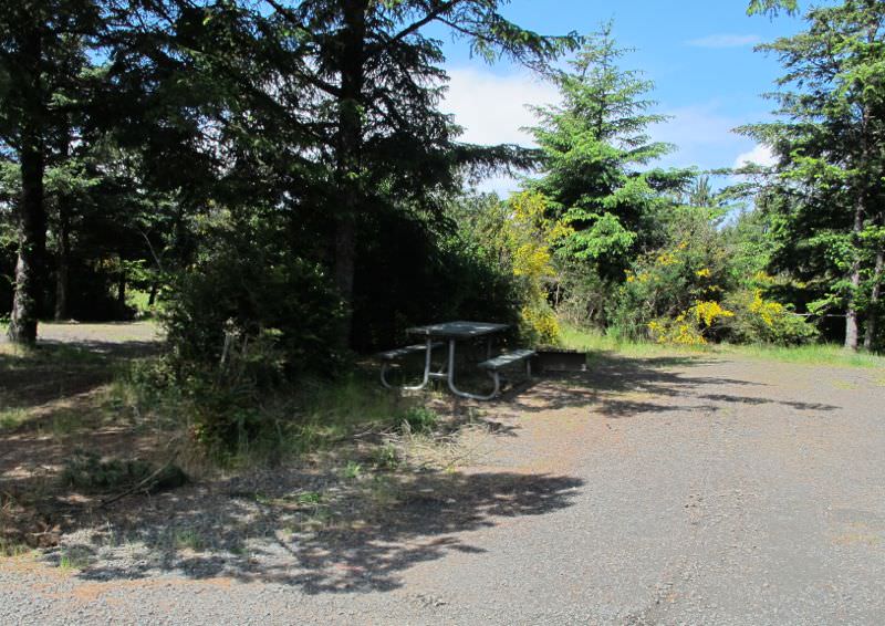 Half Moon Bay Campground, Oregon Dunes - Reedsport