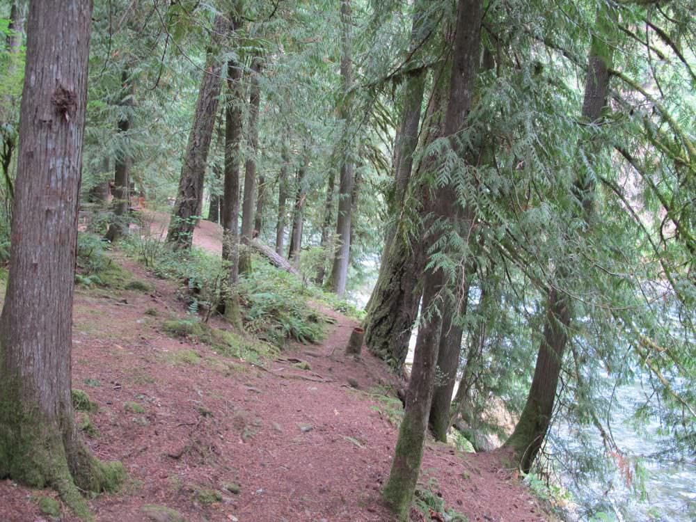 Lockaby Campground - Clackamas River Camping, Oregon