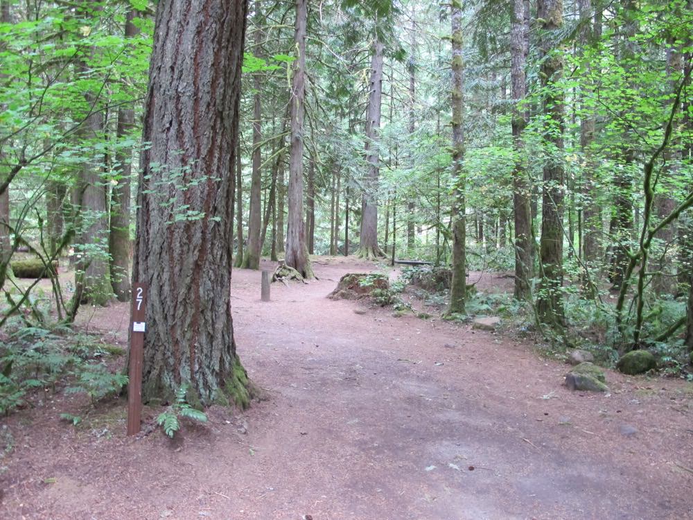 Lockaby Campground - Clackamas River Camping, Oregon