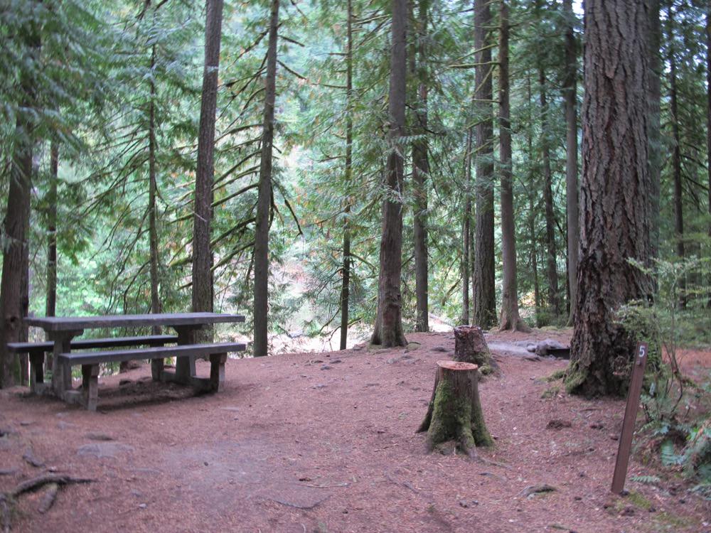 Lockaby Campground - Clackamas River Camping, Oregon