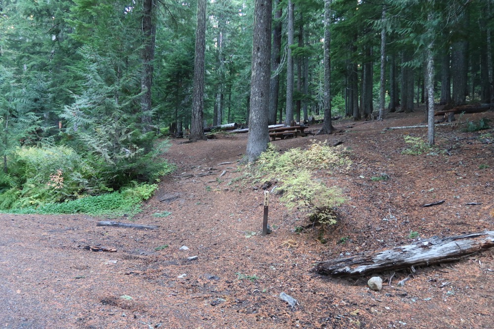Goose Lake Campground - Gifford Pinchot National Forest, Washington