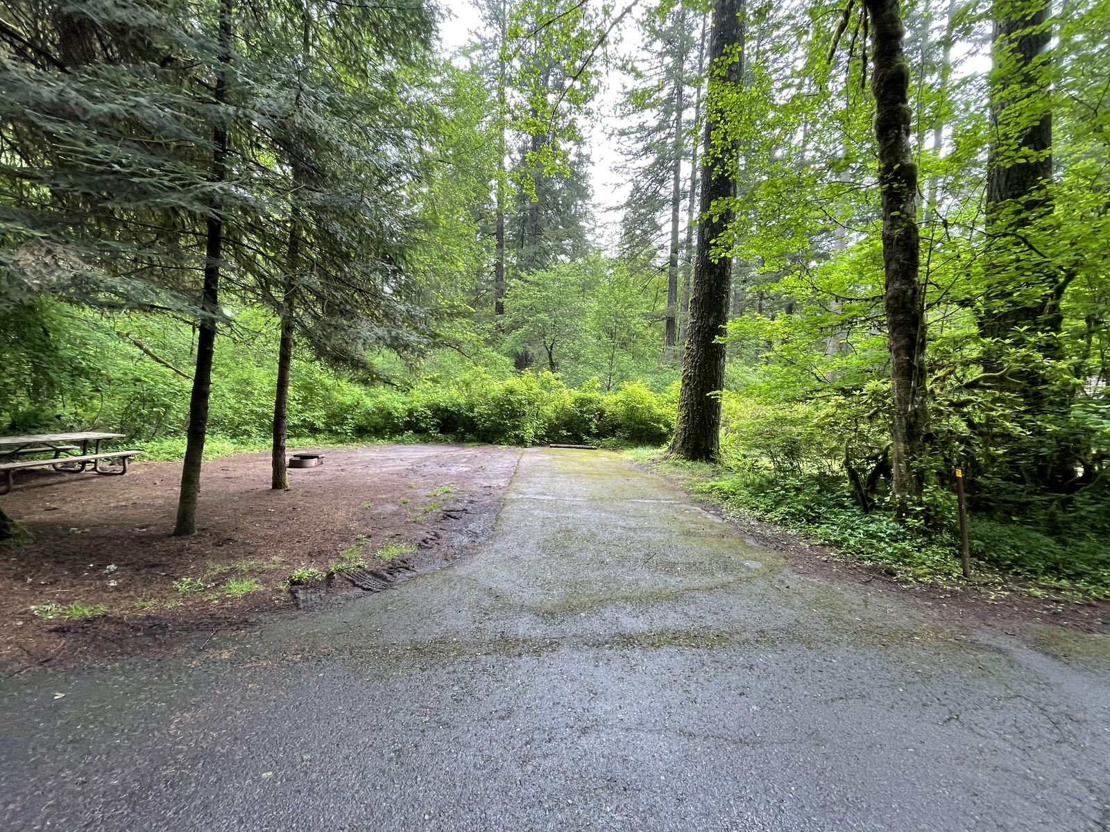 Silver Falls State Park - Muddy Camper