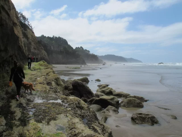 Hug Point State Recreate Area - Oregon Coast - Cannon Beach